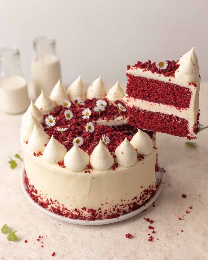Vegan Red Velvet Cake - Rainbow Nourishments