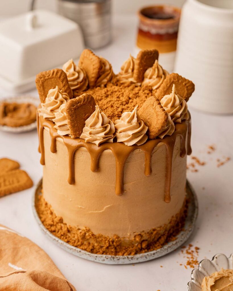 Vegan Biscoff Cake - Rainbow Nourishments