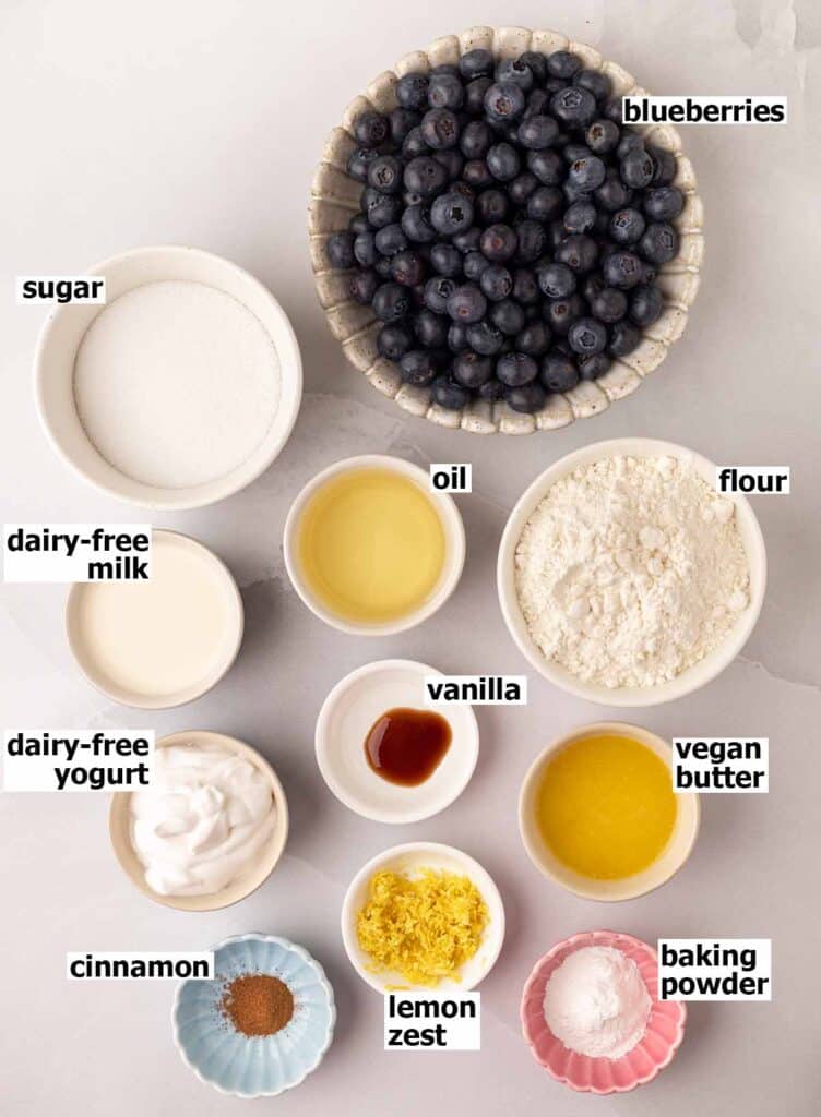 Vegan Blueberry Coffee Cake - Rainbow Nourishments